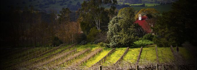 Burge Family Winemakers - Makers of Fine Wines in the Barossa Valley ...