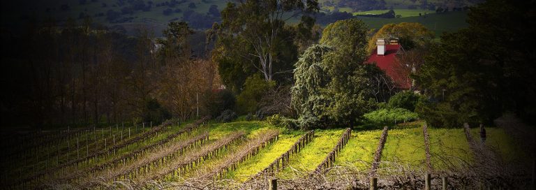 Burge Family Winemakers - Makers of Fine Wines in the Barossa Valley ...