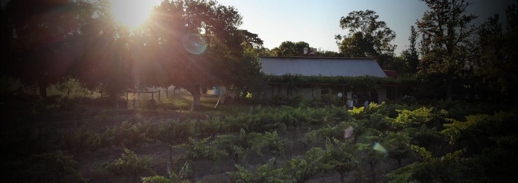 Burge Family Winemakers - Makers of Fine Wines in the Barossa Valley ...