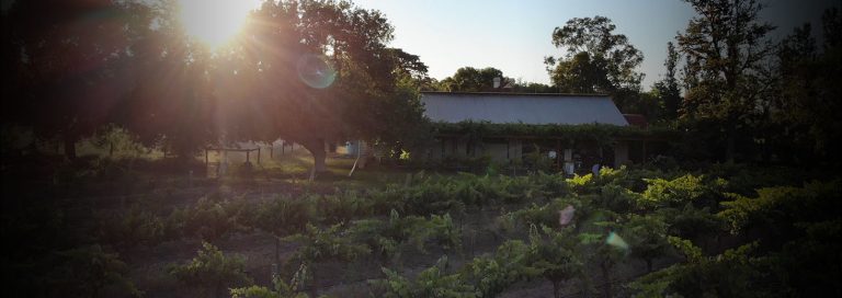Burge Family Winemakers - Makers of Fine Wines in the Barossa Valley ...